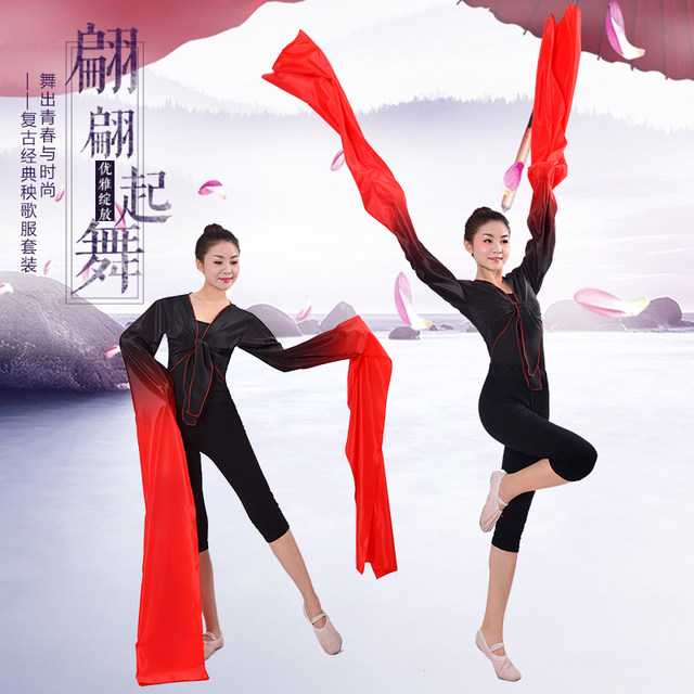 Water sleeve dance clothes top female classical practice sleeve sleeve ...