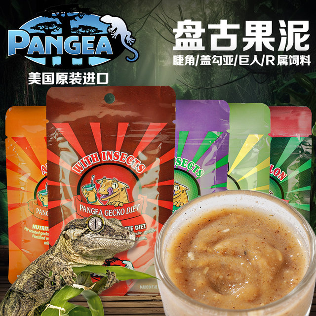 Pangu pangea gecko eyelashes fruit puree climbing pet giant Gaigouya ...