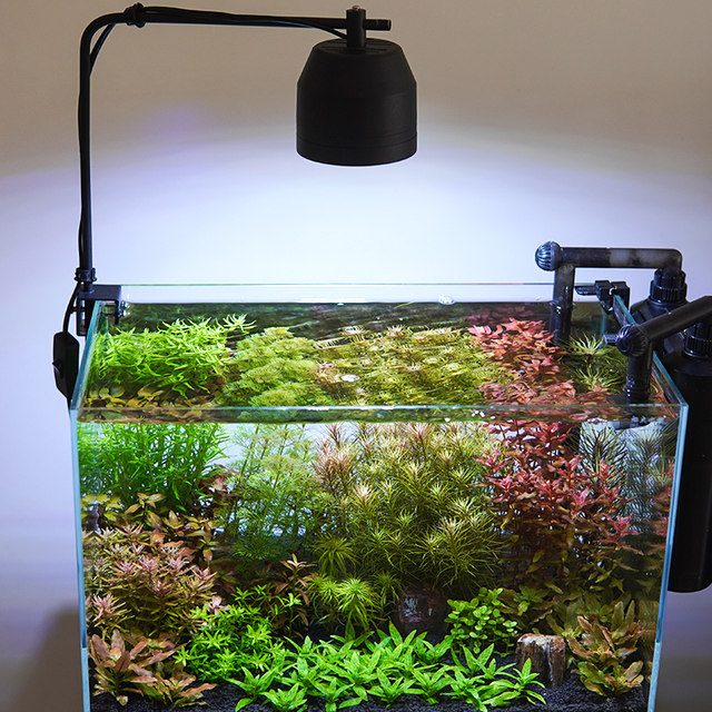 Youwan full spectrum LED plant downlight aquatic plant lamp water and ...