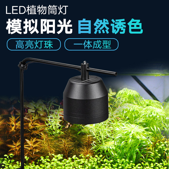 Youwan full spectrum LED plant downlight aquatic plant lamp water and ...