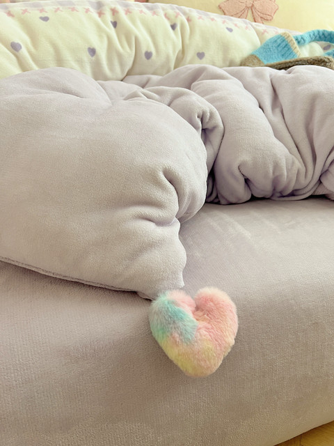 [Fuji Store] Cute Girly Style Pom-Pom Embroidered Thickened Milk Velvet ...