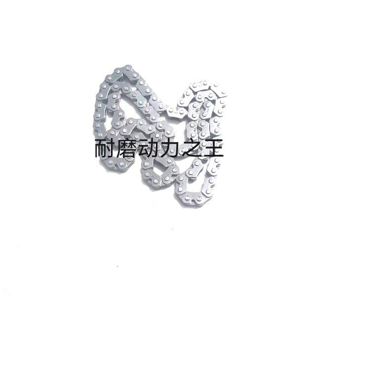 Sky Sword Xunlong 150 Steuerkette - Für Qianjiang Motorräder