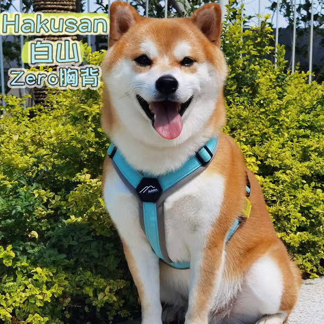 Japan Hakusan Bai Mountain Zero Pressure Y Font Simable Dog Dog, Dog ...