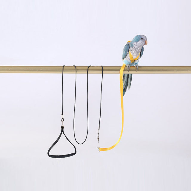 Tiger Leather Xuanfeng Peony Parcelon Flying Rope Flying Rope Out of ...