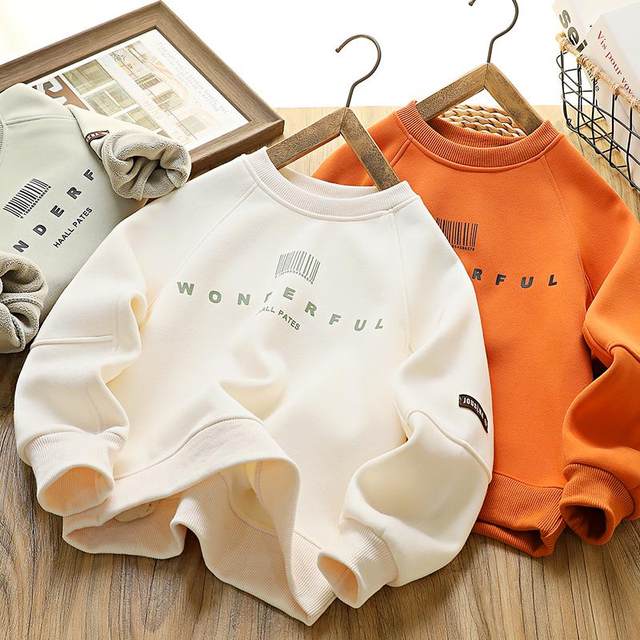 Boys' fleece sweatshirt autumn and winter 2024 new versatile children's ...