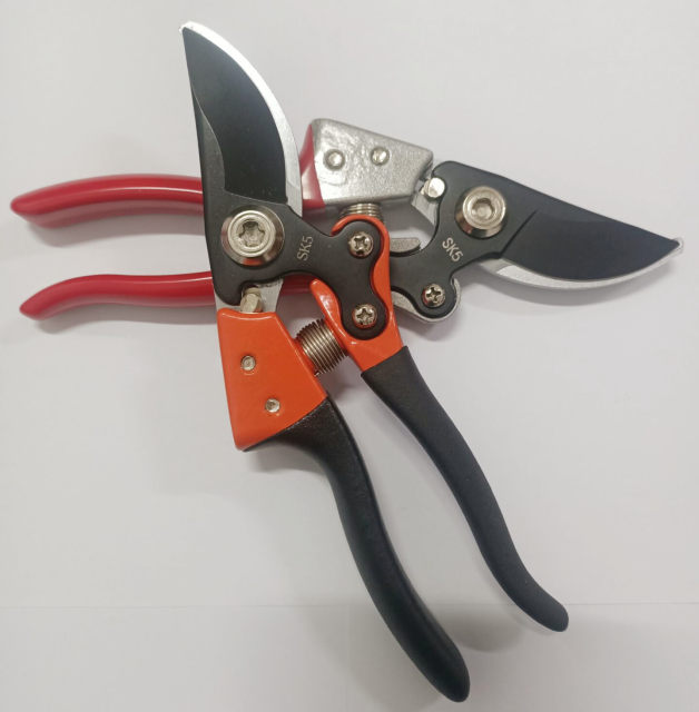 New gardener scissors and fruit trees pruning imported SK5 steel flower ...