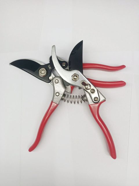 New gardener scissors and fruit trees pruning imported SK5 steel flower ...