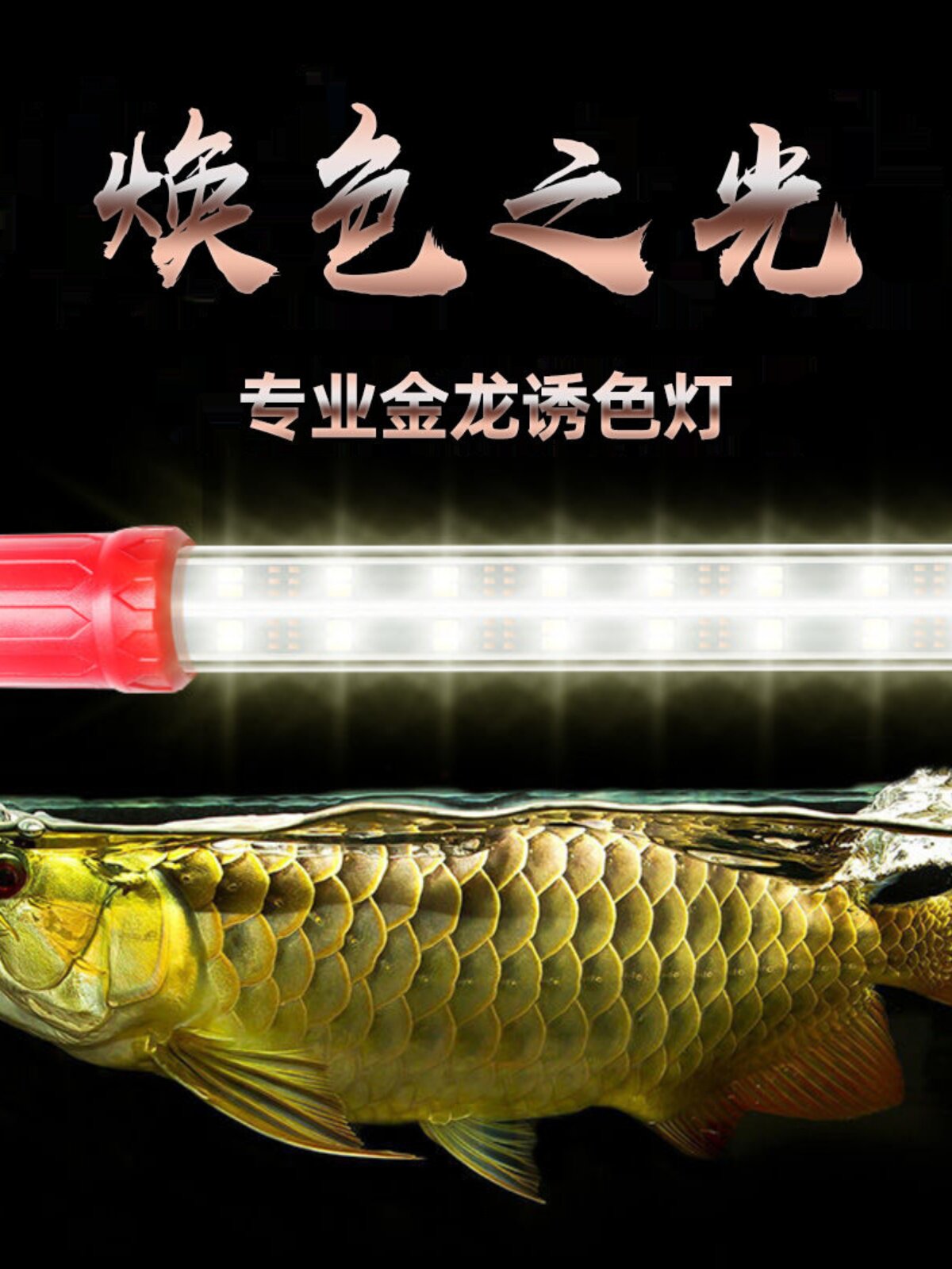Zishan douhai LED Aquarienlampe - Goldener Drache & Arowana Beleuchtung
