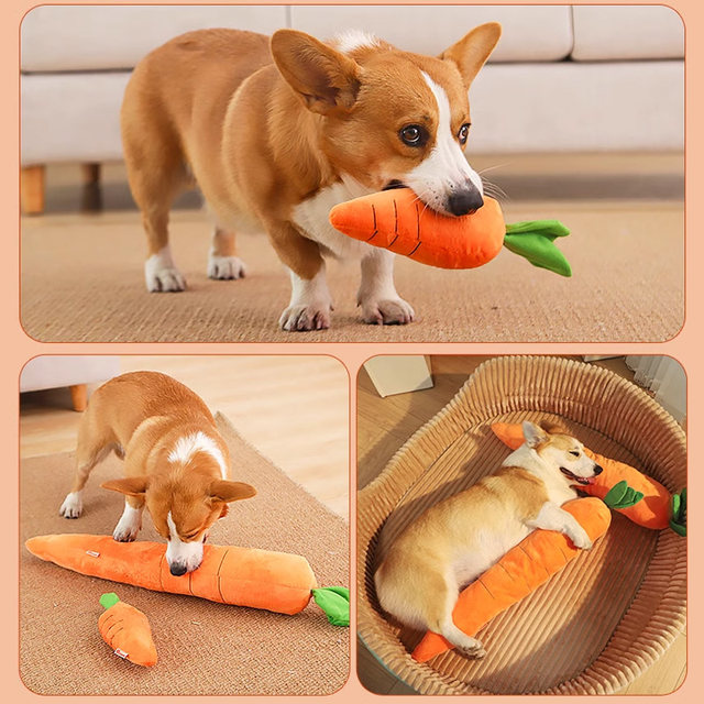 Carrot Dog Toy Plush Sound Big Dog Corgi Shiba Inu Golden Retriever Pet ...
