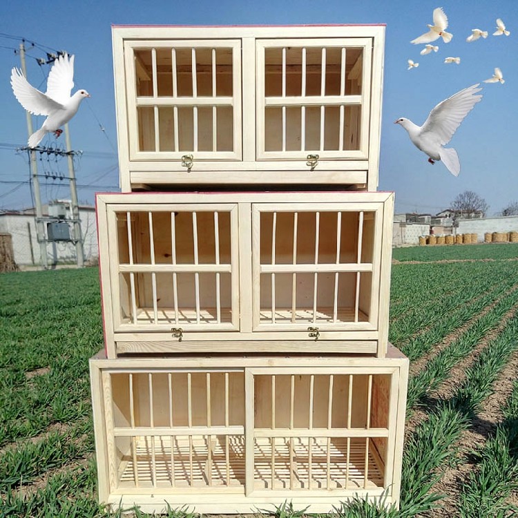 Pigeon Breeding Cage | Wooden Racing Pigeon Nest Box & Carrier