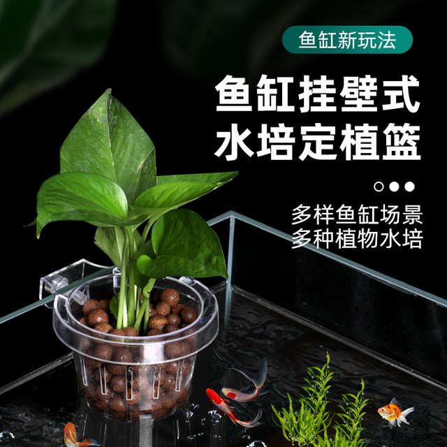 Fish tank hydroponic plant basket household large fish tank water plant ...