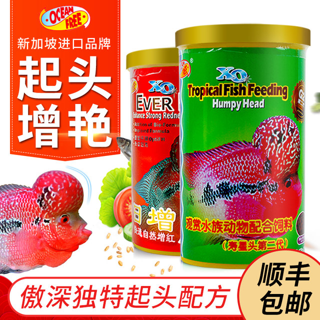 Qian Hu Ao Shen Longevity Star Head Red Ruishen Arhat Fish Feed ...