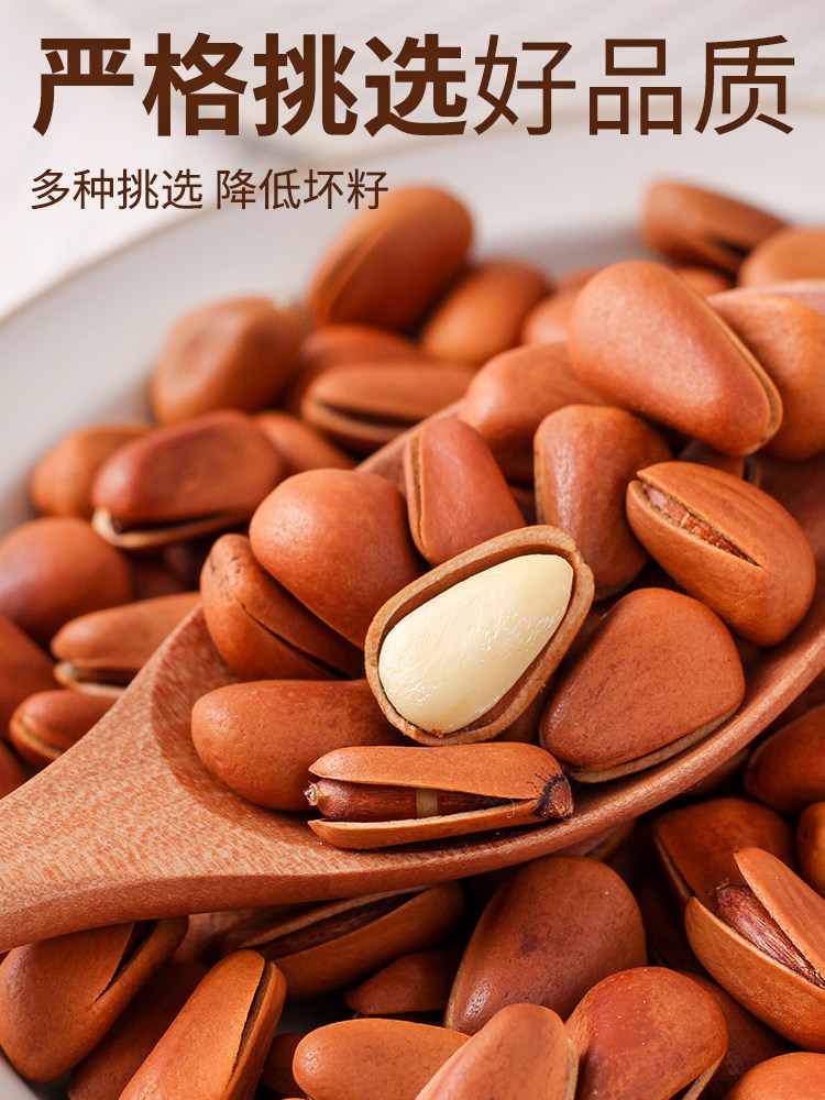 Hạt Thông Đông Bắc 500g Đóng Hộp - Hạt Lớn Cao Cấp