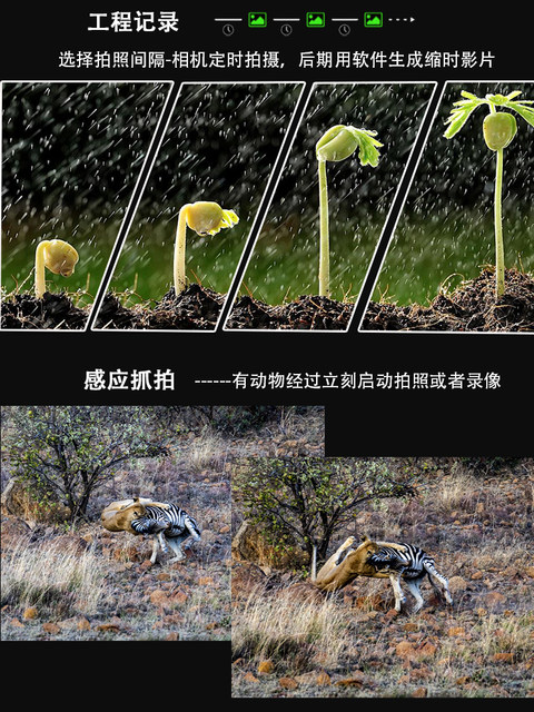 High -definition infrared camera timer remote engineering record camera ...