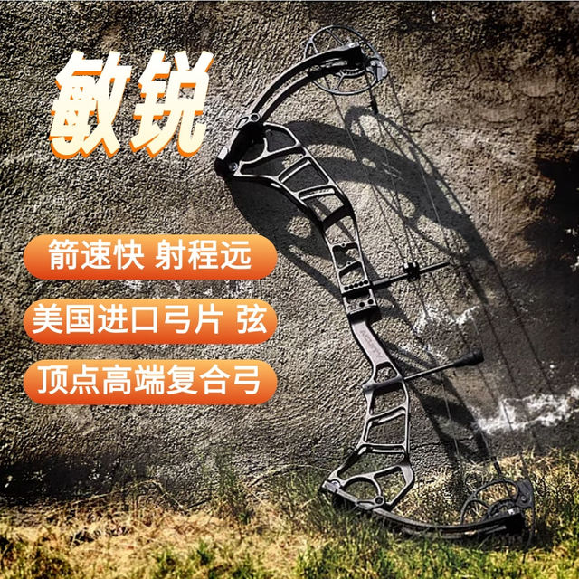 2025 new top sharp high-end compound bow high-speed metal pulley bow ...
