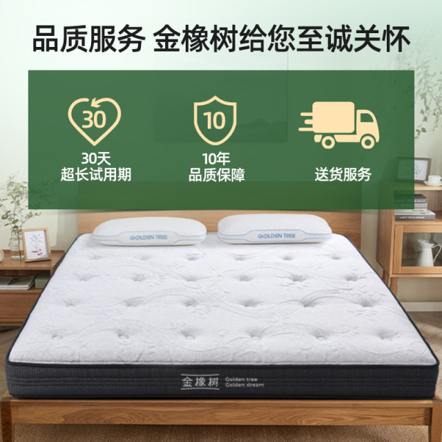 Golden Oak Tree Mattress 1.8M Independent Spring Care Thai Natural ...