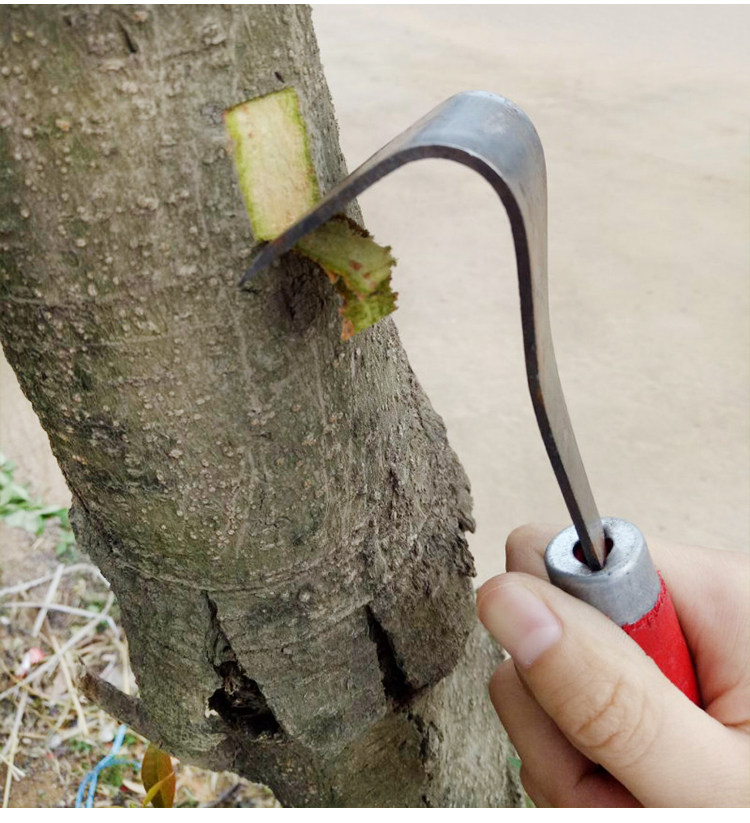 Bark scraper - Roll head integrated bark scraping knife | Spatula