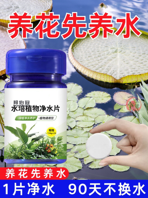 Bowl Lotus lotus water purification tablets for accelerating ...