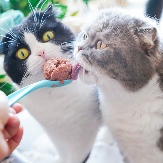 Home Cat Sauce imported from Germany leonardo little plum cat canned ...