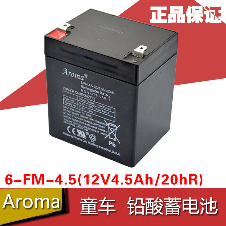 Aroma 12V 4.5Ah Electric Vehicle Battery - Kids Ride-On Car Battery
