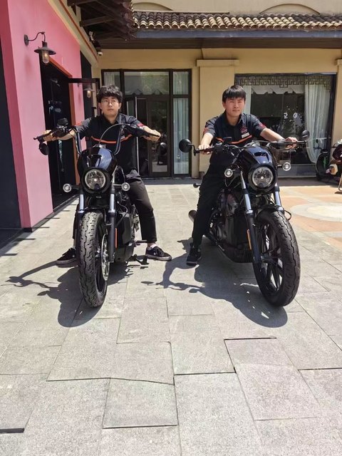 Harley Nightster Night Walker 975 Modified Classic 10 -inch Black Ape ...