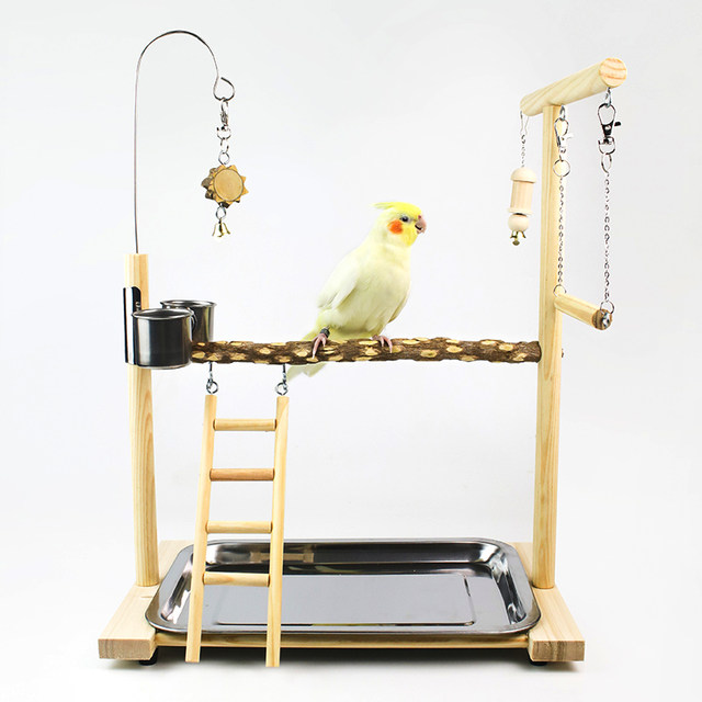 Peony tiger skin cockatiel stand solid wood pepper wood stainless steel ...