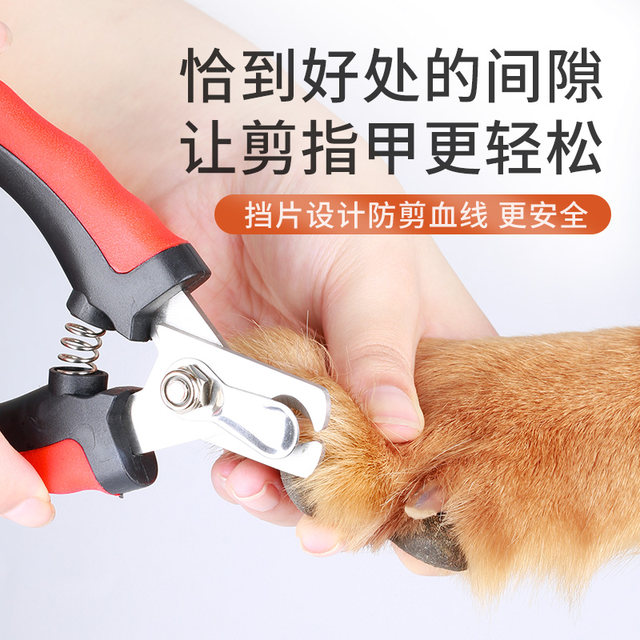 Dog nail scissors golden hair nail scissors special set dog nail ...