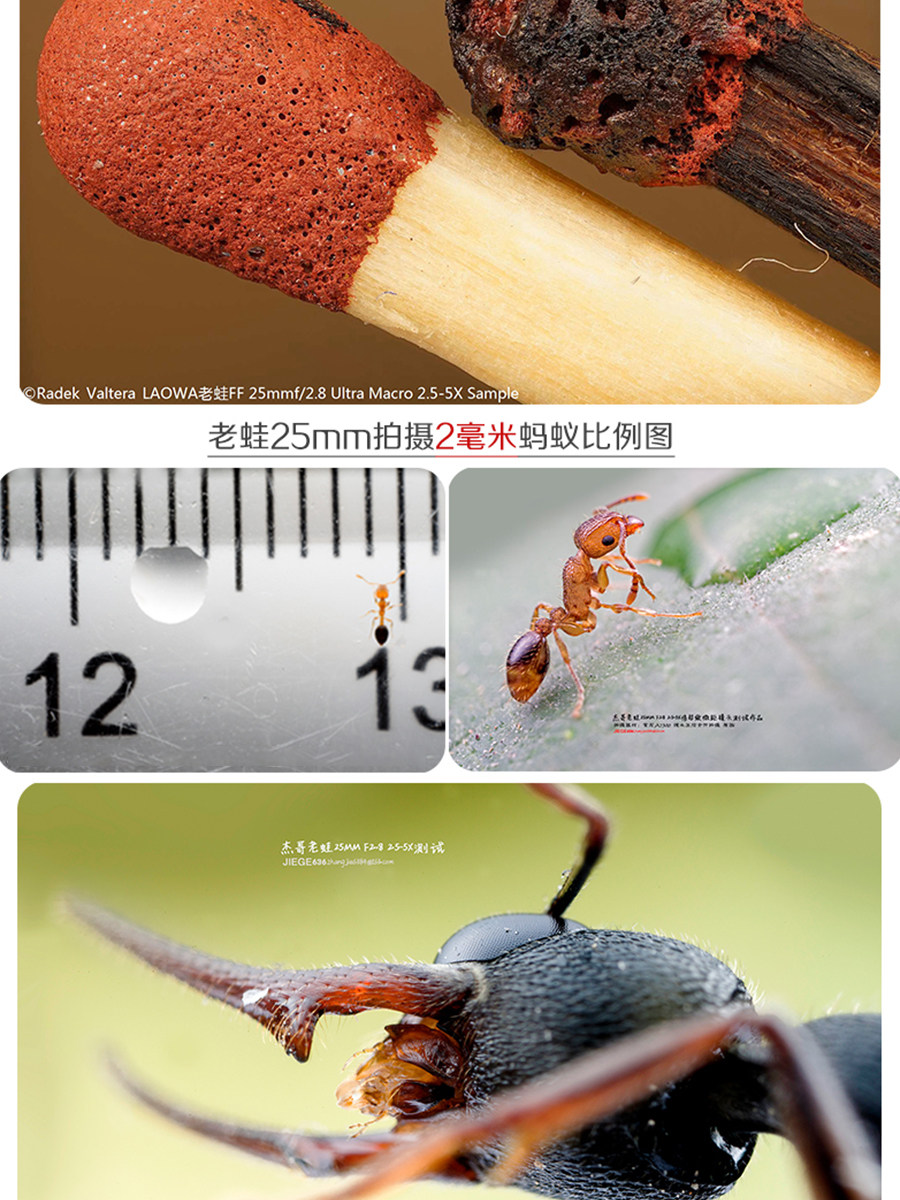 Obiektyw Old Frog 25mm f/2.8 Ultra Macro - Pełna Klatka Canon