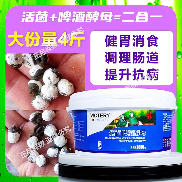 Beer yeast powder for pigeons uses live bacteria to regulate intestinal ...