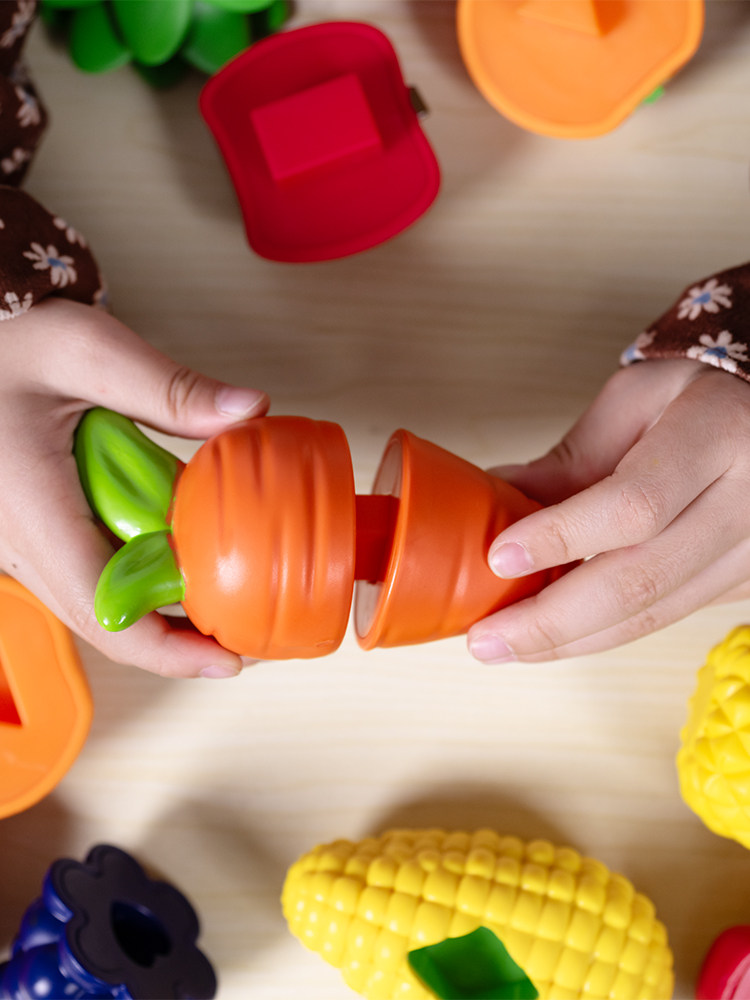 Fritzs Fruit & Vegetable Pairing Toy - Montessori Learning for Toddlers