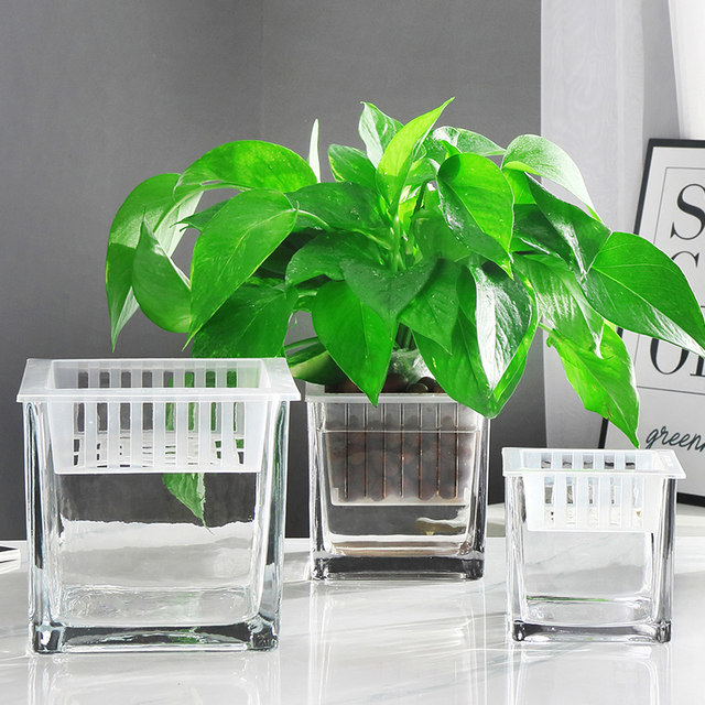 Simple thickened square hydroponic glassware transparent square ...