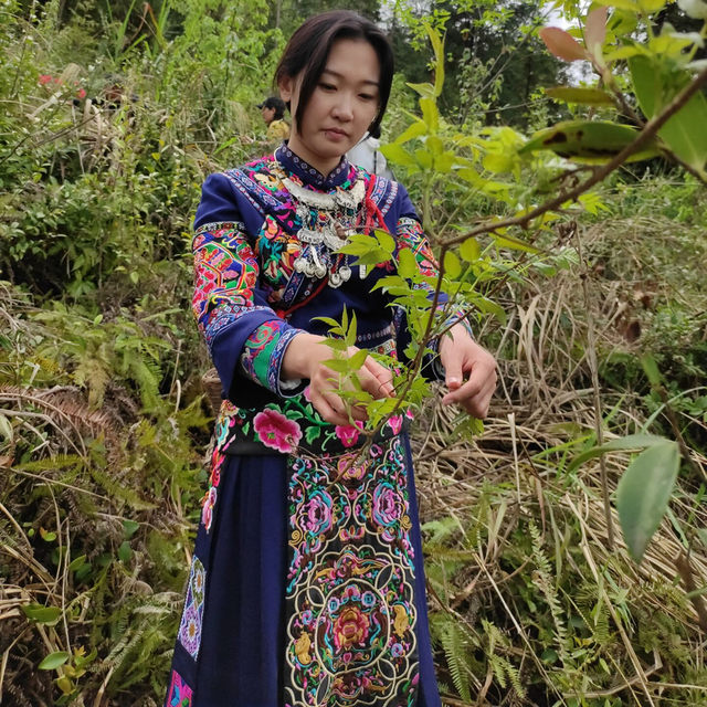 Berry tea broken tea new tea 500g special wild mold tea broken bud tea ...