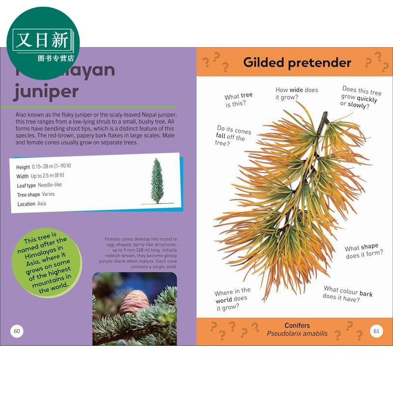 DK testing Tree Tree Quiz YOURSELF CLEVER! Trees of the World Original ...