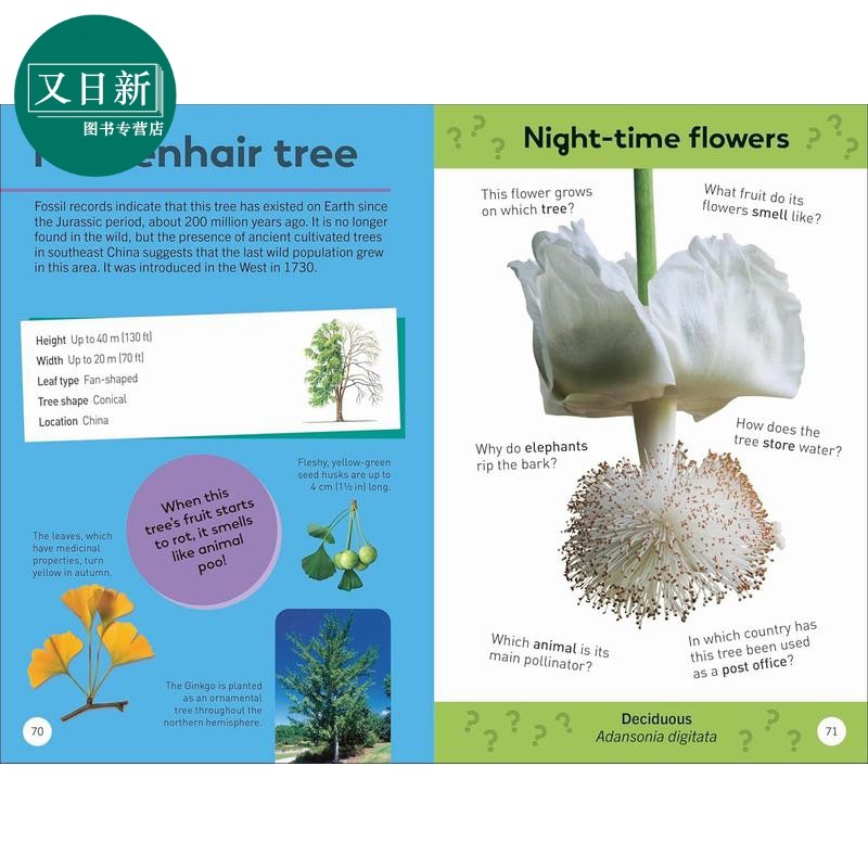 DK testing Tree Tree Quiz YOURSELF CLEVER! Trees of the World Original ...