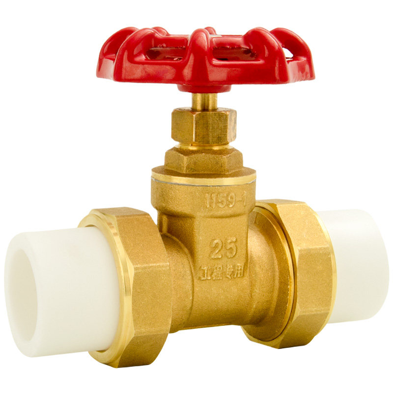 PPR Double Union Gate Valve 1 Inch - Water Pipe Switch Hot Melt PE Valve