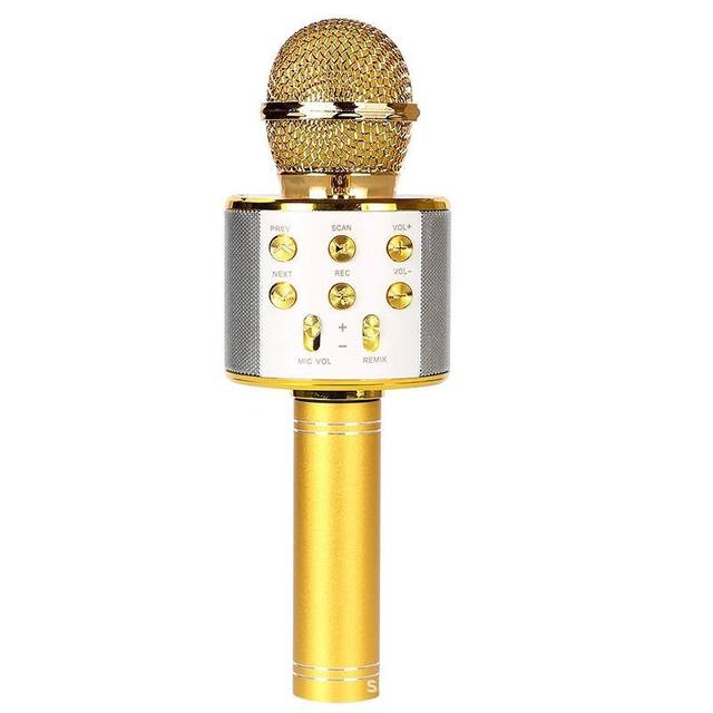 WS858 Bluetooth microphone mobile phone karaoke wireless microphone home audio integrated WS858L ...