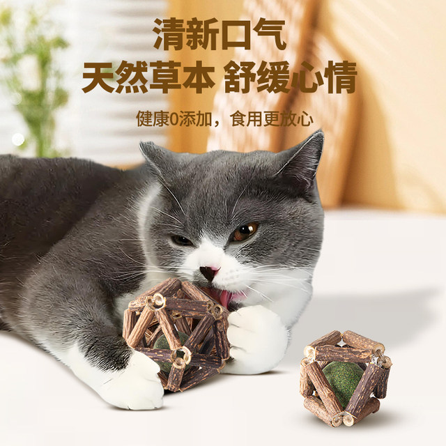 Cat Toy Teething Stick Wooden Polygonum Cat Mint Funny Cat Stick Cat ...