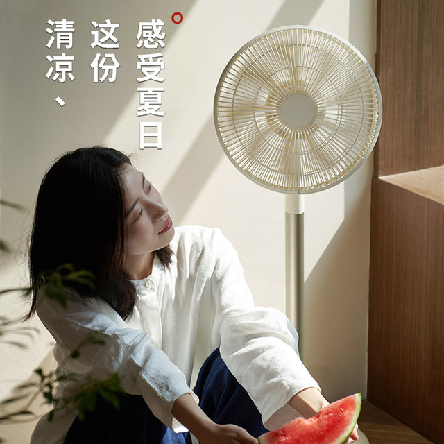 Japanese family's air circulating fan home quiet electric fan landing ...