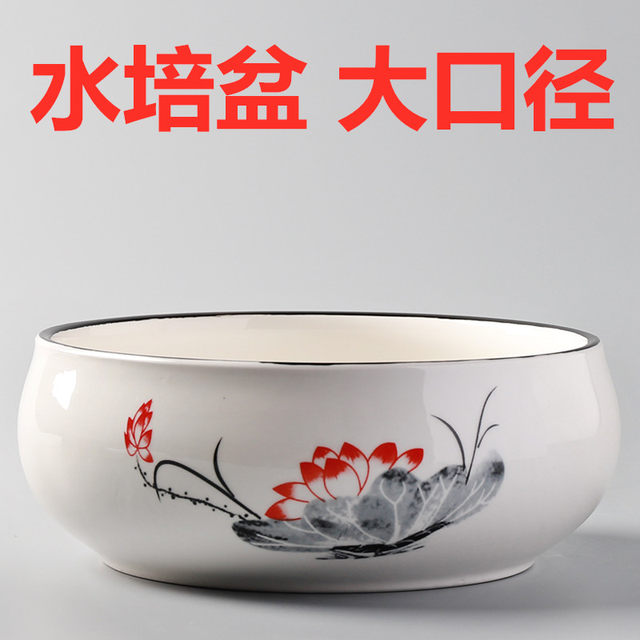 Copper money grass narcissus flower pot ceramic special clearance one ...