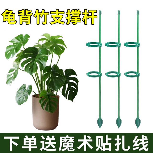 Plant support rod Monstera flower support frame green plant gardening ...