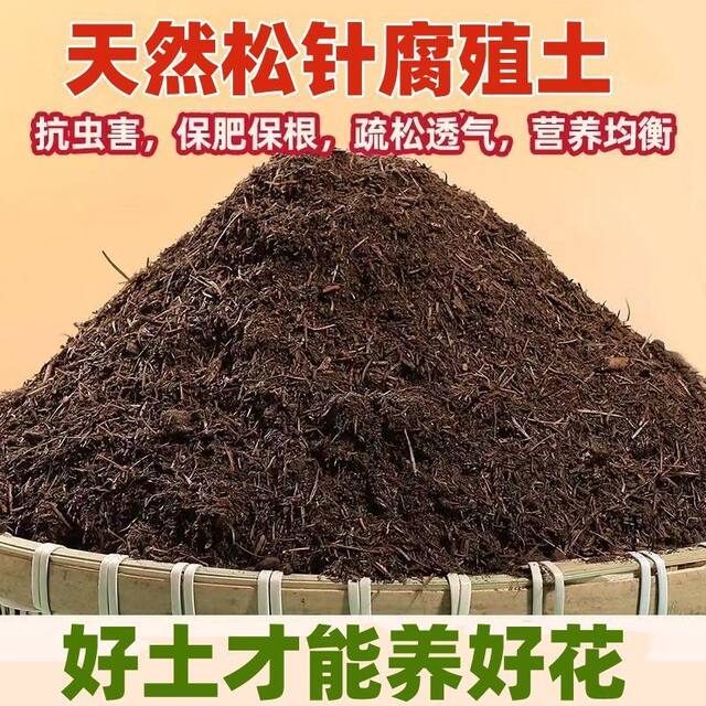 Pine needle humus soil nutrient soil pure pine needle flower soil pine ...