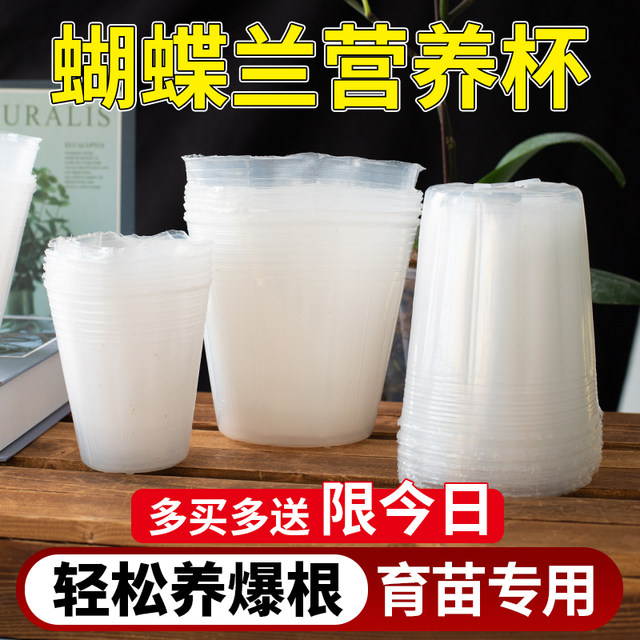 Phalaenopsis Special Nutrition Cup Planting Cup Orchid Cultivation ...