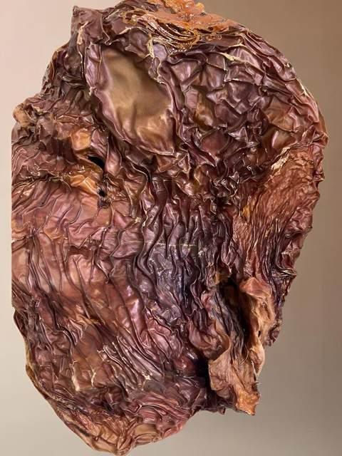 Jilin Sika Deer Deer Fetal Powder Pure Deer Placenta Whole Dry Deer ...