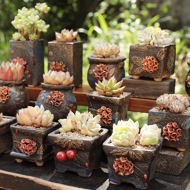 New retro hand-painted pinched flower medical stone multi-succulent ...