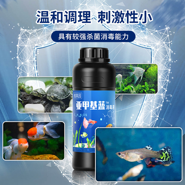 Methylene blue disinfection special for rotten fish tank saprolegnia ...