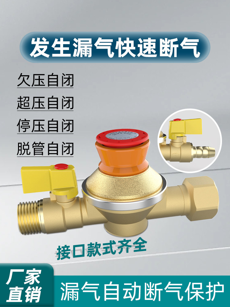 Boleesch Natural Gas Shut-Off Valve - Brass Leak Protection Valve