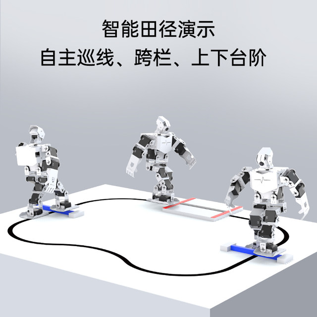 Huaner Raspberry Pi 5/4B Humanoid Robot Development Kit TonyPiPro ...