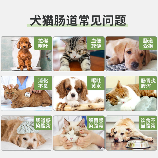 Langbot cat diarrhea, soft stool, dog vomiting, diarrhea, blood in the stool, special dysentery ...