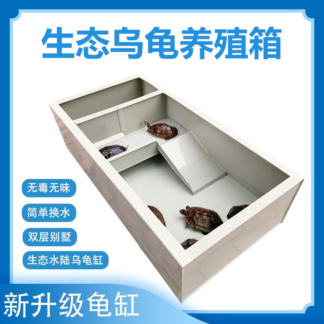 Water and land turtle tank with drainage holes in a large plastic with ...