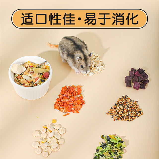 A complete collection of food staples for hamsters, nutritious food for ...